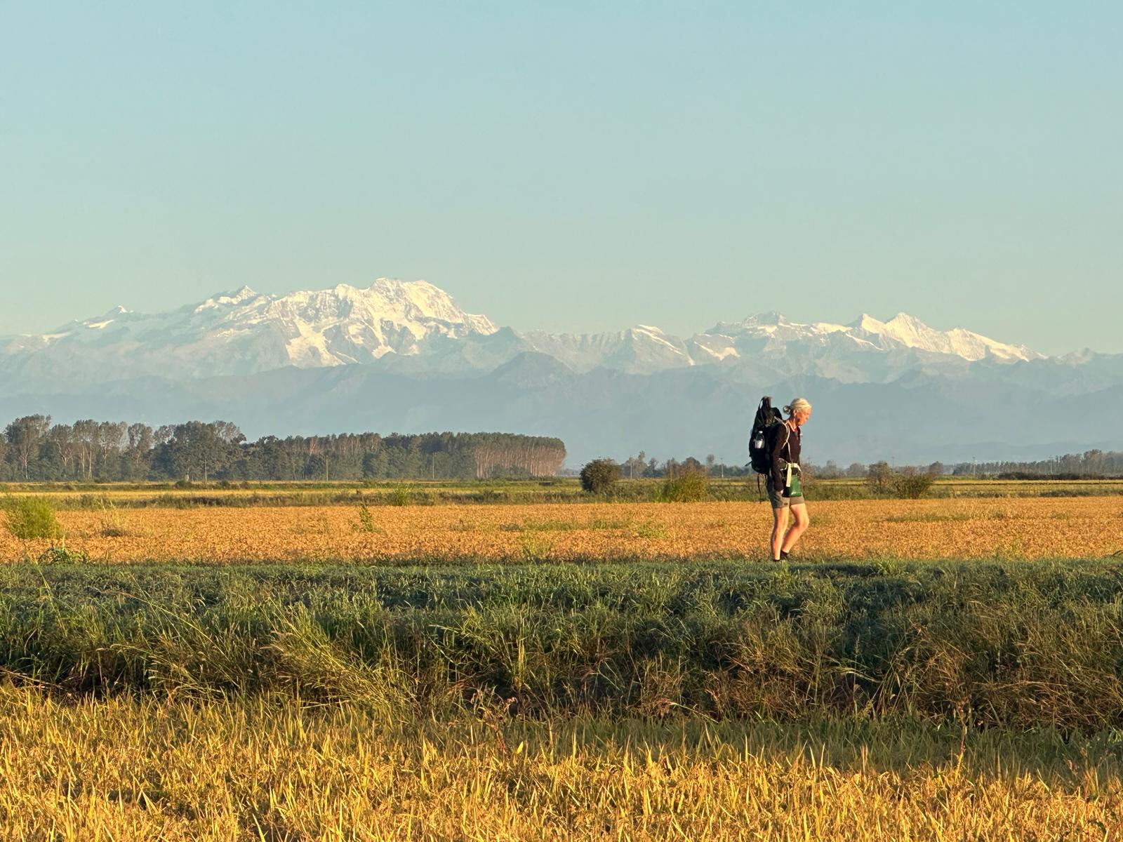 All the light within: a pilgrim’s journey on the… | Melbourne Catholic