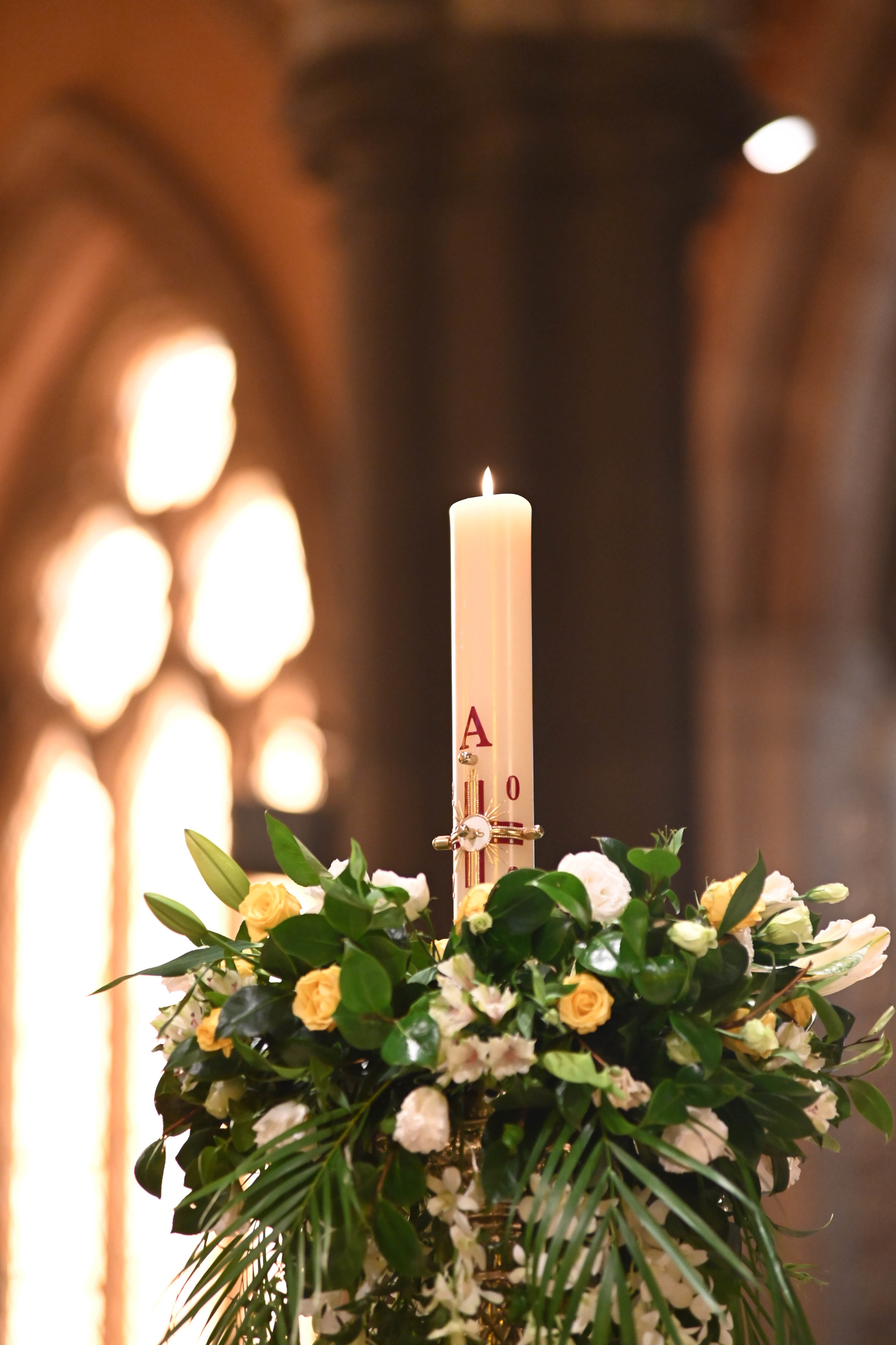 Easter: Life always finds a way | Melbourne Catholic