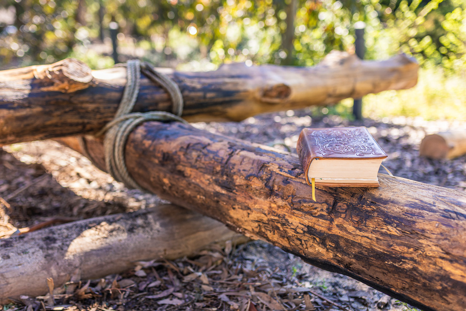 Outdoor reflection space created for All Souls'… | Melbourne Catholic
