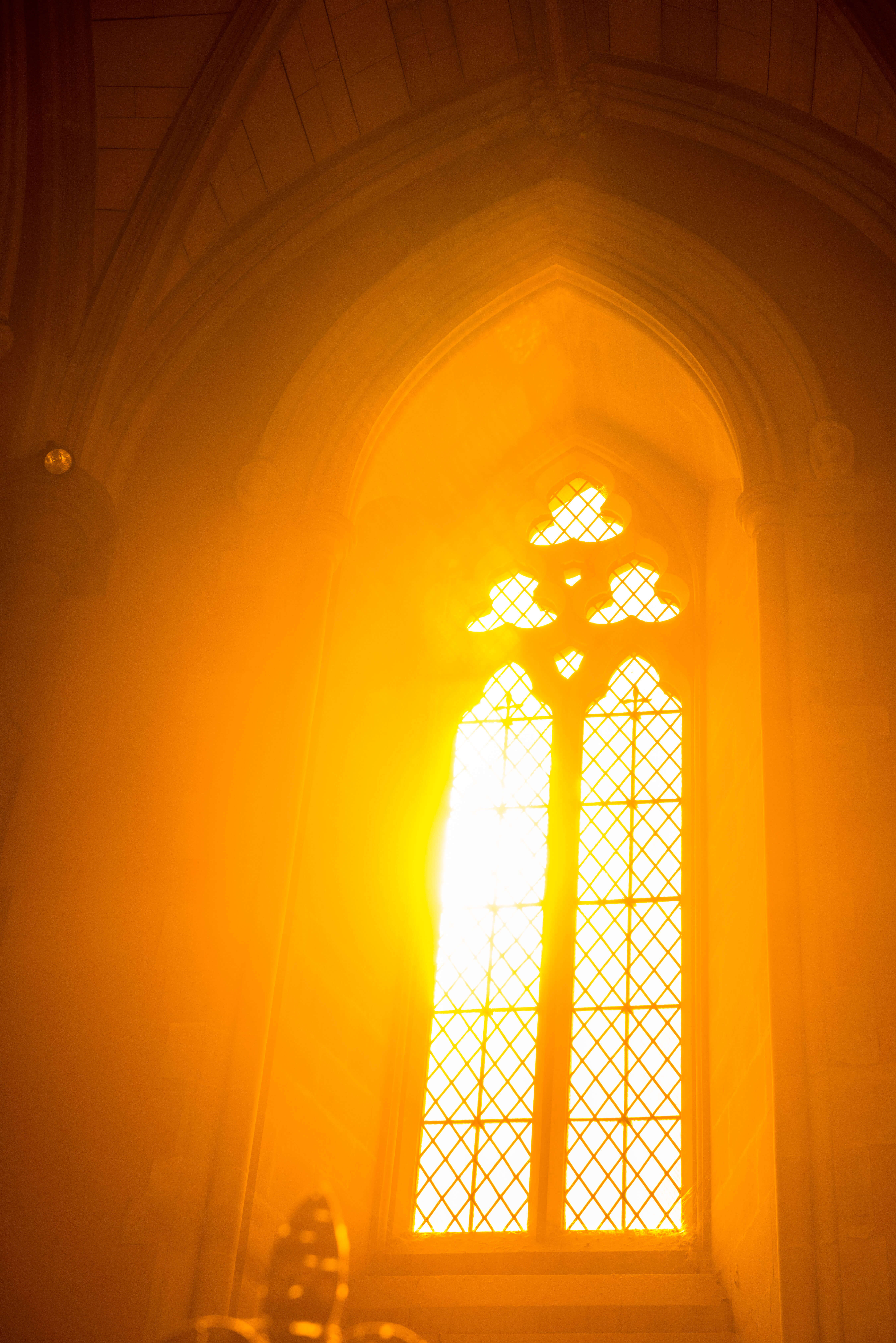 Streams of Light: 2020 Easter Homilies Collection | Melbourne Catholic