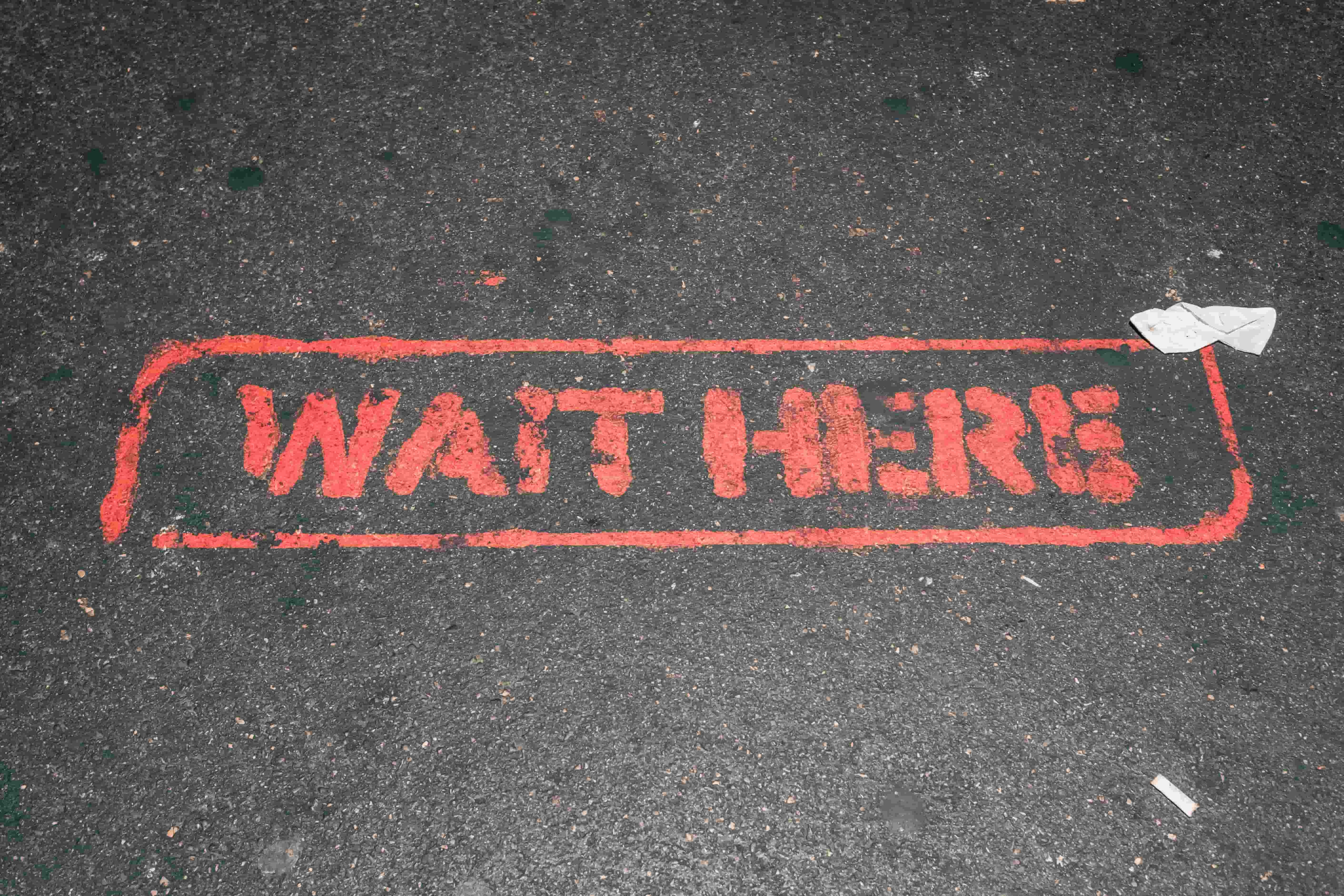Worth the wait: a reflection for the beginning… | Melbourne Catholic